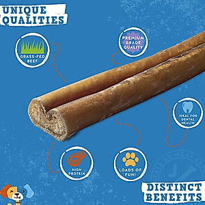 Jack&Pup Bundle - Bully Sticks + Pro-Digest Supplements | 12-Inch Odor Free [Standard Size] Bully Sticks (5 Pack) | Pro-Digest Probiotics for Dogs (60 Chews)…