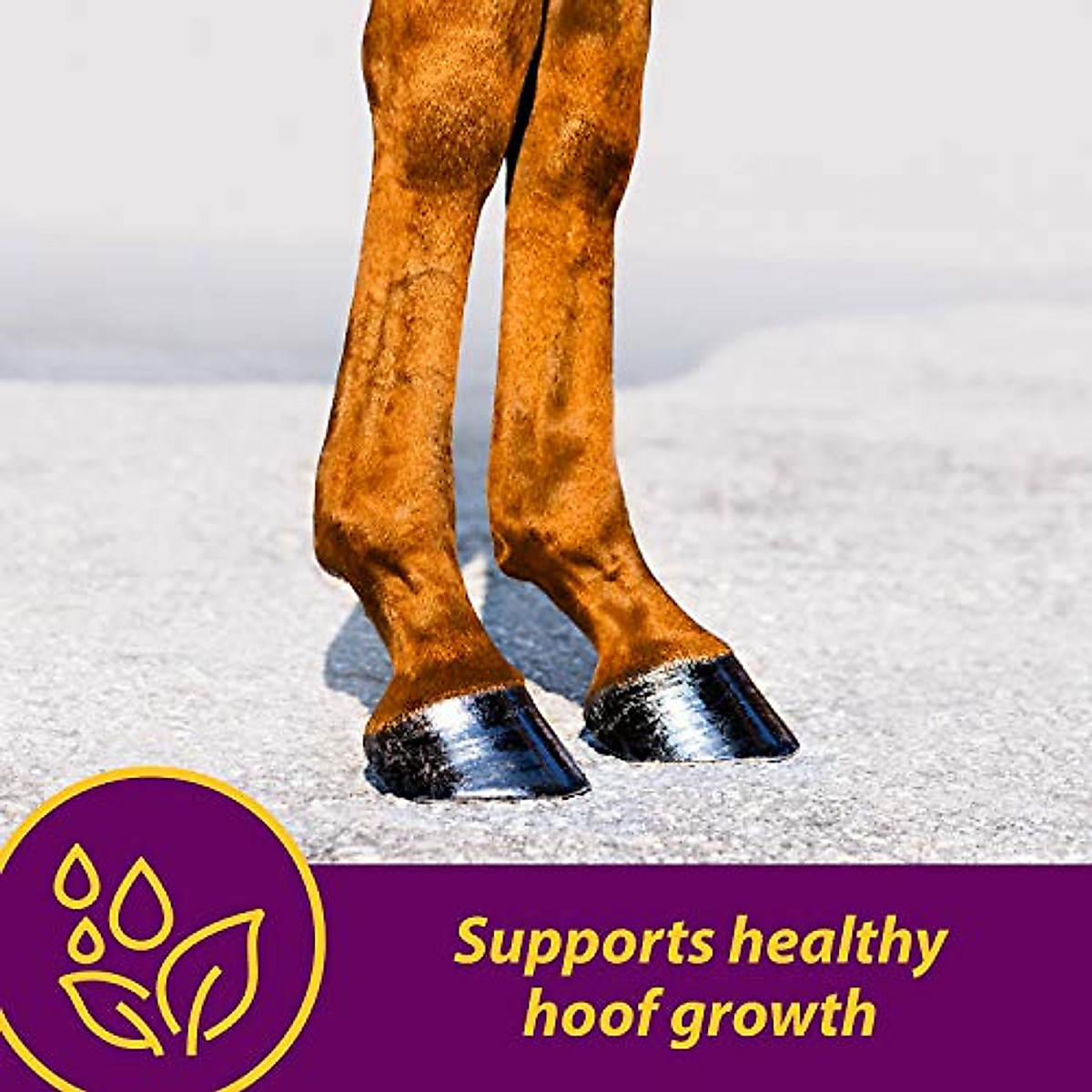 Horse Health Shur Hoof Hoof Supplement for Horses, Helps Grow Strong, Tough Hooves, 2.5 Pound, 40 Day Supply