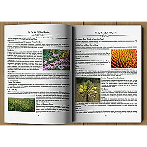 The Lost Book of Herbal Remedies