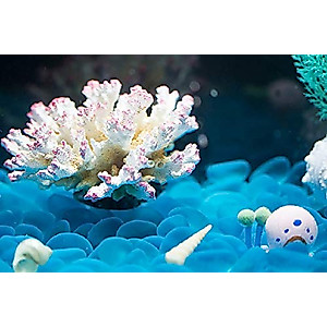 WAYBER Glass Stones, 1Lb/460g Irregular Sea Glass Pebbles Non-Toxic Artificial Crystal Gemstones for Aquarium Turtle Tank Vase Filler Terrarium Flowerpot Decoration, Lake Blue