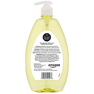 Amazon Basics Tear-Free Baby Hair and Body Wash, 27.1 Fluid Ounce, 1-Pack (Previously Solimo)