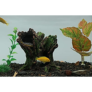 AQUA KT Aquarium Landscape Tree Stump Trunk Hollow Betta Cichlid Cave Rocks for Fish Hiding Tank Decoration Decorations