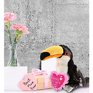 DolliBu Happy Mother's Day Super Soft Plush Toucan Doll Figure - Cute Stuffed Animal with Pink Heart Message for Best Mommy, Grandma, Wife, Daughter - 8" Inches