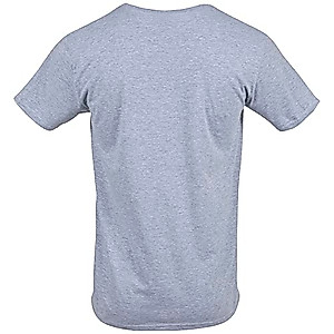 Gildan Adult Softstyle Cotton T-Shirt, Style G64000, Multipack, Sport Grey (2-Pack), Large