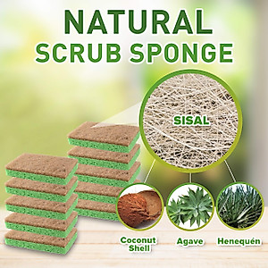 Natural Sponge by Scrubit - 24-Pack - Biodegradable Cellulose Natural Sponges for Dishes with a Tough Eco-Friendly Scouring Pad for Kitchen and Bathroom – Non-Stick Plant-Based Compostable Sponges