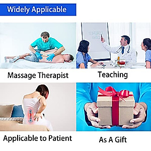 Veipho Human Anatomical Lumbar Disc Herniation Model, Transparency Lumbar Disc Herniation Model, Lumbar Disc Model for Teaching and Demonstrating