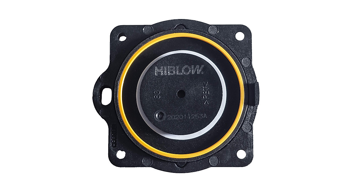 Restore HIBLOW HP-60/80: Genuine Factory Rebuild Kit