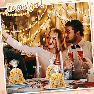 AIOMOB 50 Pack He Popped the Question Popcorn Bags Engagement Party Favors Decorations She Said Yes Sticker Clear Popcorn Favor Bags for Engagement Party Bridal Shower Wedding Supplies
