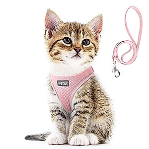 Fida Cat Harness and Leash Set for Walking Kitten and Puppy, Escape Proof Kitten Harness with Breathable Lightweight Soft Mesh, Adjustable Reflective Step-in Design for Kitten and Puppy.(XXXS, Pink)