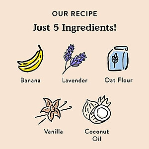 Bocce's Bakery Oven Baked Bedtime Tea Treats for Dogs, Wheat-Free Everyday Dog Treats, Made with Real Ingredients, Baked in The USA, All-Natural Biscuits, Banana, Vanilla, & Lavender, 5 oz