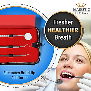 Dental Hygiene Tool Kit - Includes Stainless Steel Tarter Scraper/Scaling Remover, Dental Toothpick, Mouth Mirror - by Majestic Bombay- Dentists Tools Set is Ideal for Personal Use & Pet Friendly