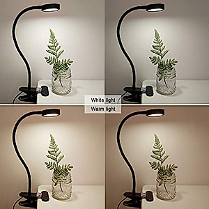 LEPOWER Clip on Light / Book Light / Reading Light with 2 Color Changeable/ Night Light Clip on for Desk, Bed Headboard and Computers (Black)