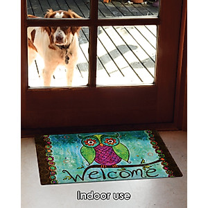 Toland Home Garden 800004 Rainbow Owl Welcome Door Mat 18x30 Inch Bird Outdoor Doormat for Entryway Indoor Entrance
