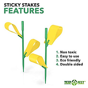 Houseplant Sticky Stakes - Yellow Sticky Traps for Gnats Indoor and Outdoor - Gnat Traps for House Plants (44 Traps)