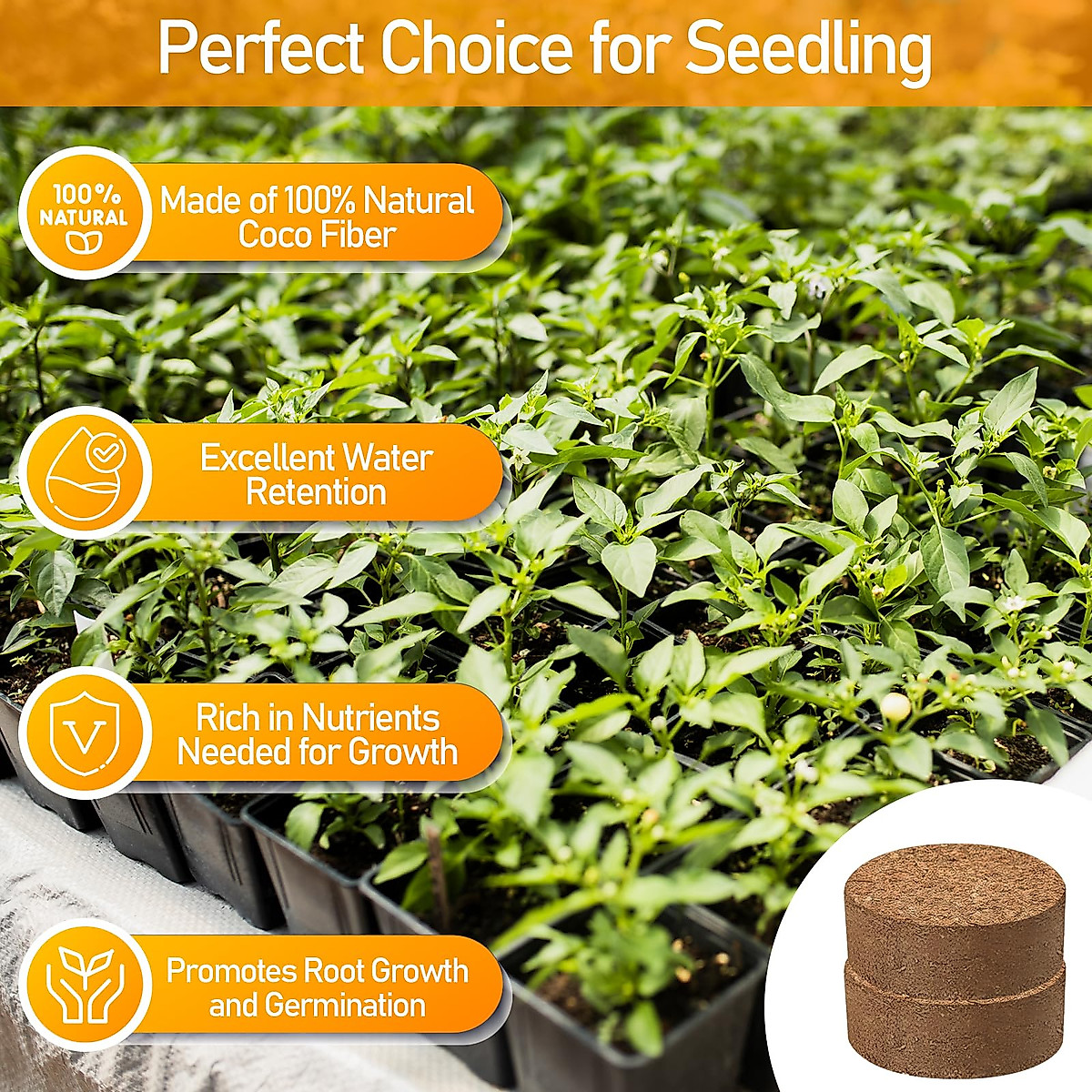 Legigo 50 Pcs 30mm Coco Coir Pellets Seed Starting Soil Mix- Compressed Coconut Coir Pellets Potting Soil Pods for Seedling, Coco Peat Soil Discs for Indoor & Outdoor Plants, Herb Vegetables Flowers