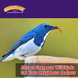 Zower 10 lbs Natural Meally Worms-Dried Black Soldier Fly Larvae,Rich-Protein Scratch Treats with Over 85X More Calcium Than Dried Mealworms for Chicken,Egg Laying hens,Birds,Amphibians and Reptiles