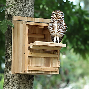 Owl House Screech Owl House Owl House Cedar Barn Owl Bird House House Owls & Kestrels Owl Houses for Outdoors Large Handmade Wooden Rectangular Opening Bird Box with Mounting Screws Easy Assembly