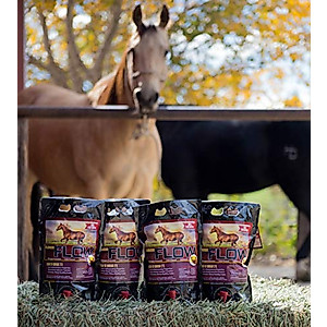 Flaxen Flow 3 L, 100% Flax Seed Oil, Rich in Omega-3 and Omega-6 Fatty Acids