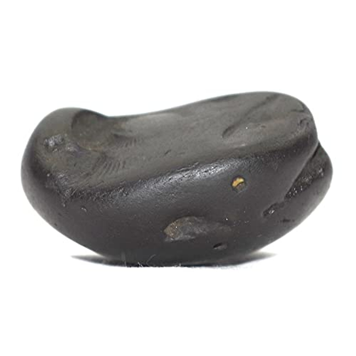 Rudrakshguru TriVikrama Shaligram - Gandaki River Nepal