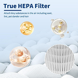 ROMON RP-AP088-F1 Replacement Filter Compatible with RENPHO RP-AP088W RP-AP088B Air Purifier, 5-Stage H13 True HEPA Actived Carbon Filter, Pet Care Version, 2 Pack