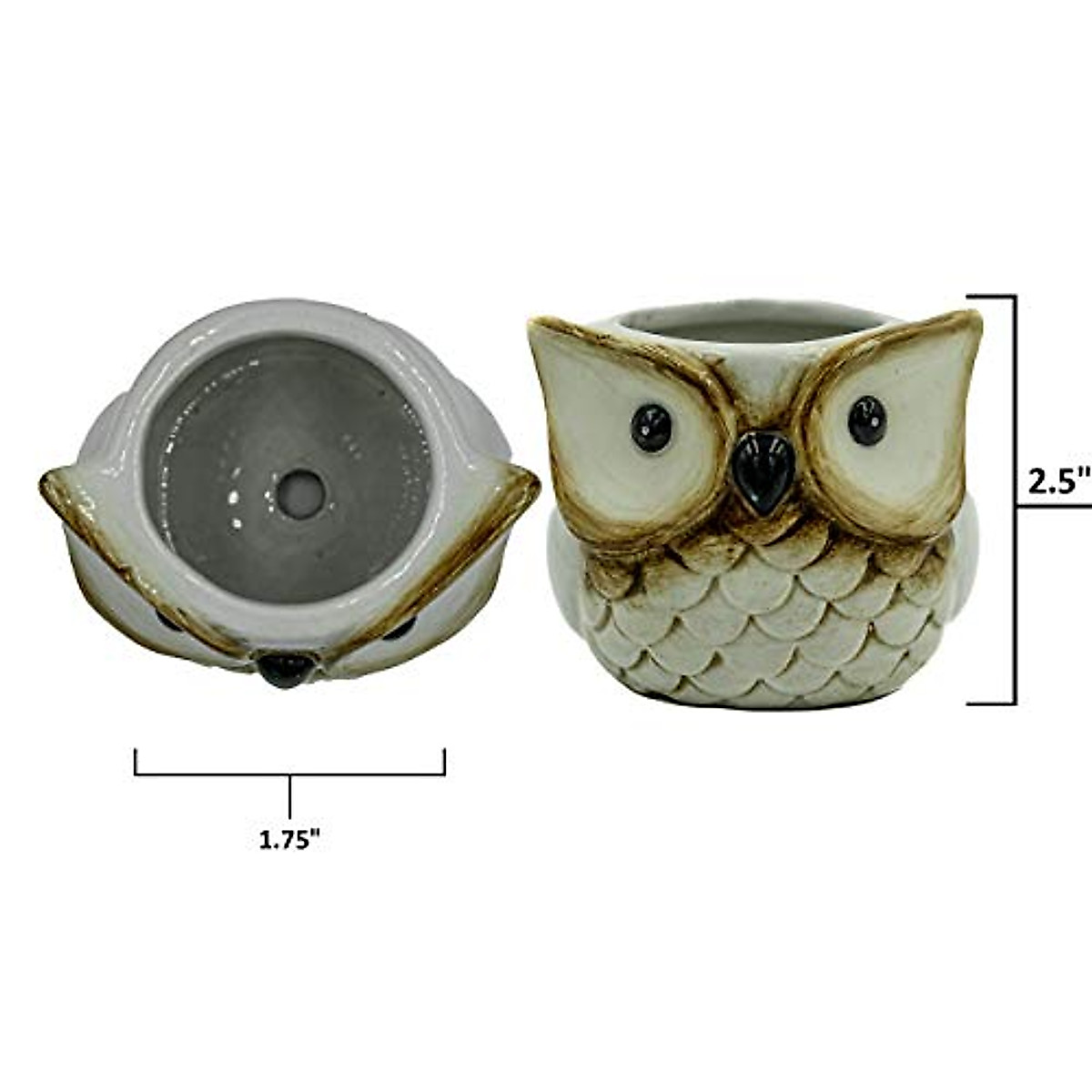 Matty's Garden Animal Ceramic Succulent Planters Set of 6 | 2.5 Inch Small Cactus Pots with Drainage Hole Raccoon Owl Turtle Hedgehog Frog Fox