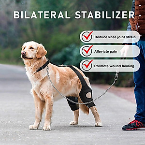 Dog Knee Brace,Dog Knee Brace for Torn Acl Hind Leg,Dog Leg Braces for Back Leg，Lick Sleeve for Dogs Rear Leg,Dog Hip Support Brace,Hip Dysplasia Brace for Dogs,Hip Brace for Dogs,Dog Hip Brace. (S)