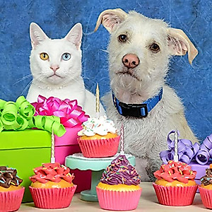 60 Pieces Gold Birthday Candles Spiral Cake Candles Metallic Cake Cupcake Candles Short Thin Birthday Candles with Holders for Birthday Wedding Party Cake Decorations (Gold, Silver, Rose Gold)