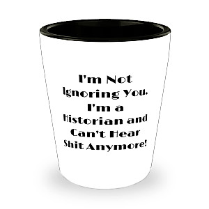 I'm Not Ignoring You. I'm a Historian and Can't Hear Shit Anymore! Historian Shot Glass, Gag Historian, Ceramic Cup For Coworkers