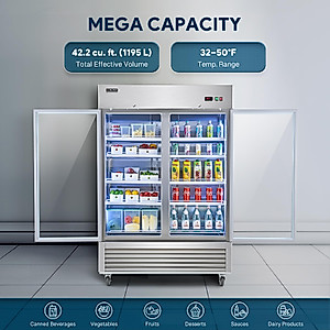 Wilprep Commercial Refrigerator, 54" 2 Glass Door Display Refrigerator with 42.2 cu. ft. Capacity, Reach in Merchandise Fridge Stainless Steel Beverage Cooler with Adjustable Shelves for Restaurant