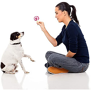 LEGEND SANDY 14 Pack Dog Squeaky Toys Cute Stuffed Plush Fruits Snacks and Vegetables Dog Toys for Puppy Small Medium Dog Pets