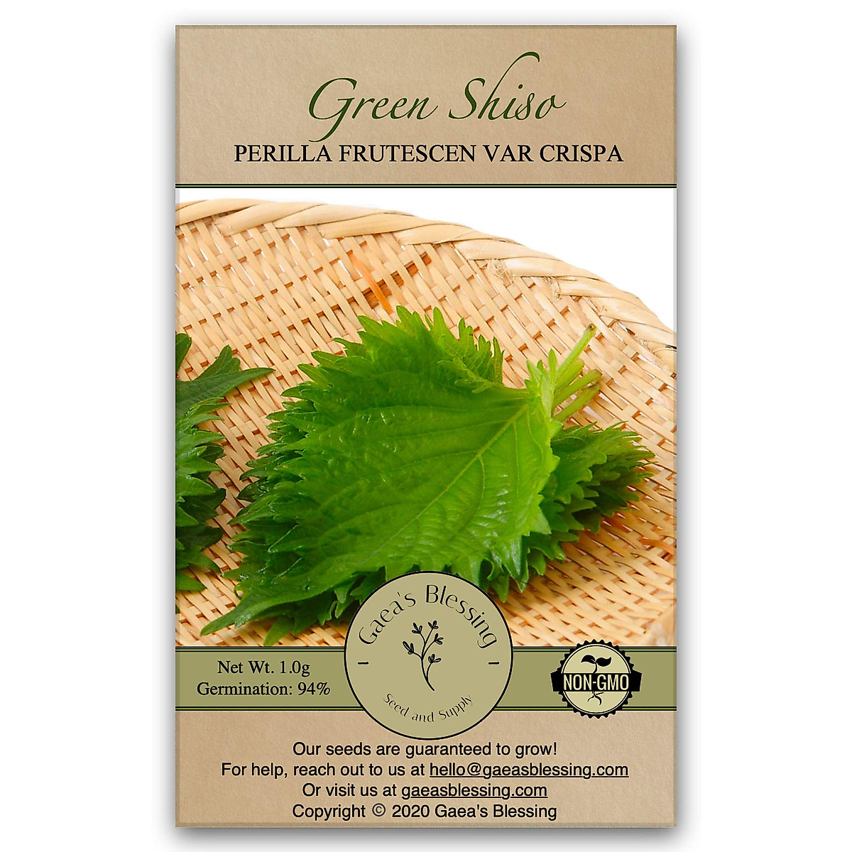 Gaea's Blessing Seeds - Green Shiso Seeds (Perilla), Heirloom Non-GMO Seeds with Easy to Follow Planting Instructions, Kaori Ao Shiso, Open-Pollinated, 94% Germination Rate