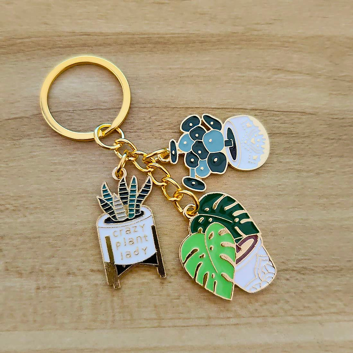Meimimix Cute Fashion Keychain Ladies Succulent Potted Succulent Shaped Keychain Golden Car Keychain Jewelry for Friends