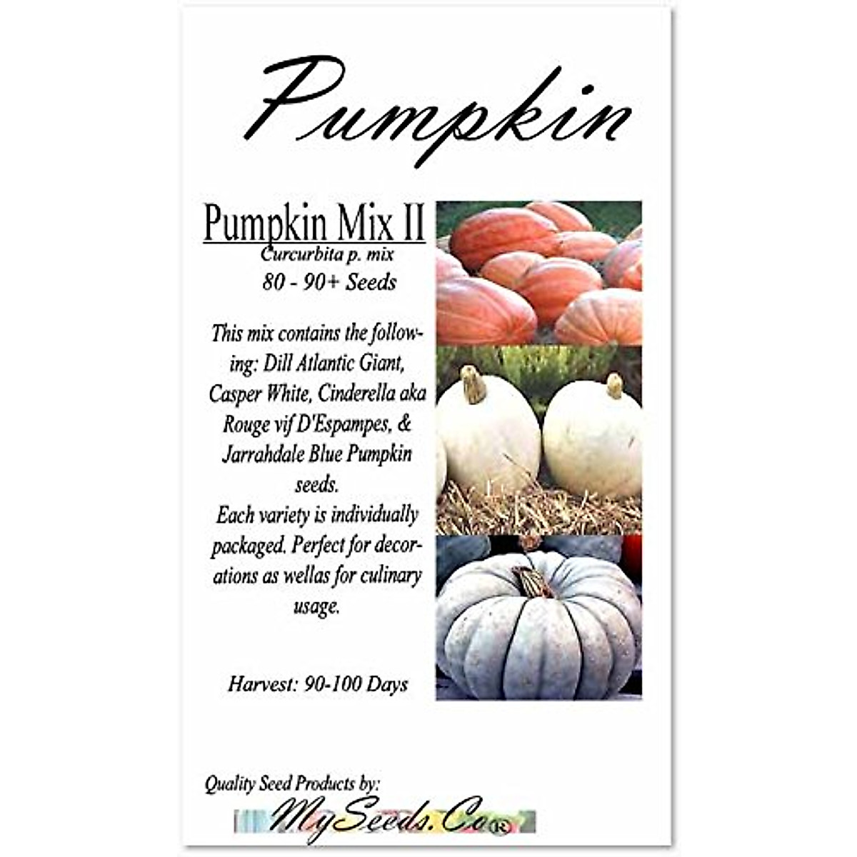 Big Pack (80-90+) Dill Atlantic Giant, Casper White, Cinderella Rouge VIF D'Etampes, & Jarrahdale Blue Pumpkin Seeds - Non-GMO Seeds by MySeeds.Co (Big Pack - Pumpkin Mix II)