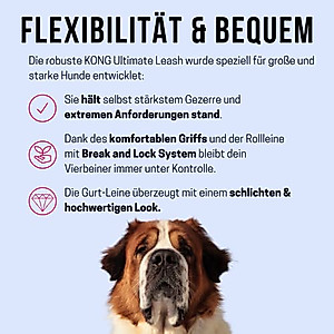 Alcott Kong Ultimate Retractable Dog Leash, Extra Large, Grey, 16' Long