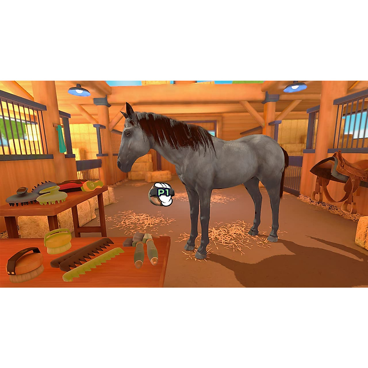 Equestrian Training Nintendo Switch