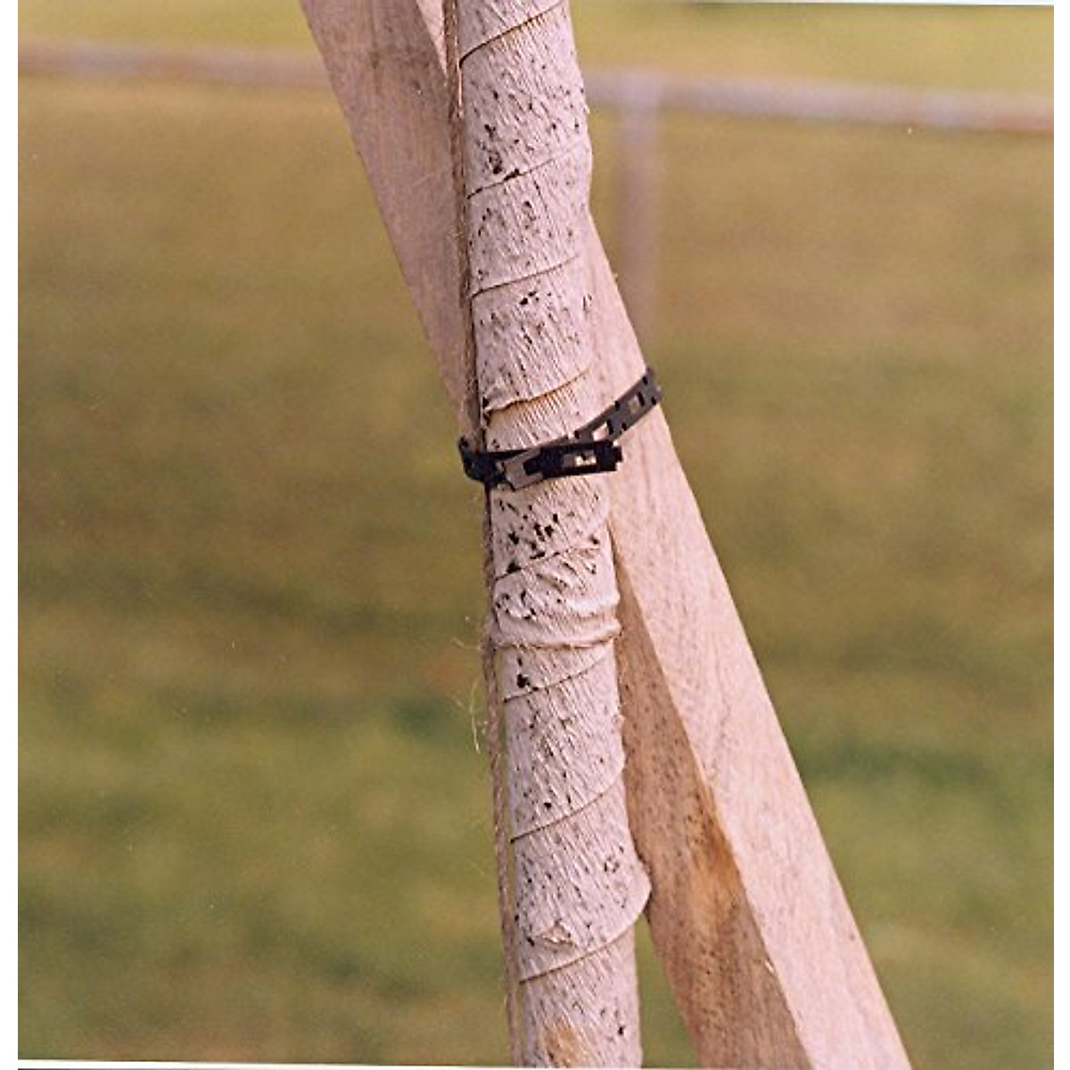 EasyFlex 1100-2 FirmFlex Chain Lock Tree Tie, 100 Foot, Black