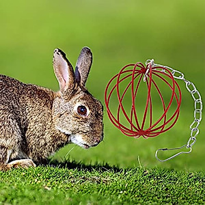 GIFZES Rabbit Hay Feeder, Feed Dispenser Hanging Ball Hay Feeder Pet Hay Ball Hanging Feed Dispenser Animal Supplies for Guinea Pig Hamster Rat Rabbit Chinchilla Red