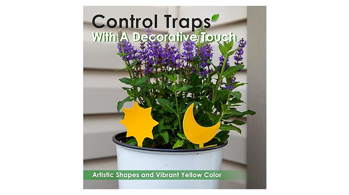 Classy Casita Yellow Sticky Traps for Plant Pest Control