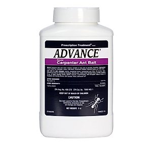 8 oz Advance Granular Carpenter Ant Bait , Kills: Carpenter Ants , Acrobat , Argentine , Bigheaded , Crazy , Field , Little Black , Pavement , Pharoah , House , and Theif Ants