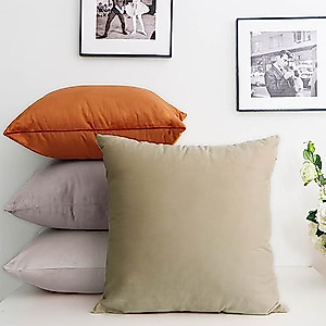 Cyuripu Set of 2 Velvet Burnt Orange Throw Pillow Covers 18 x 18 Inch Decorative Square Pillowcases Christmas Cushion Cases for Couch Sofa Bedroom Living Room Home Decor 45 x 45 Cm