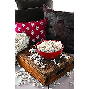 Nordic Ware Quick Pop Single Serve Popper, Red, 8 Cup