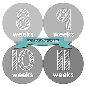 Months In Motion Pregnancy Weekly Belly Growth Stickers - Week to Week Pregnant Expecting Photo Prop - Maternity Keepsake - Baby Bump - Large Set of 36 Weekly Photo Sticker