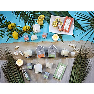 Trapp 7oz Signature Home Collection Poured Scented Candle - No. 73 Vetiver Seagrass