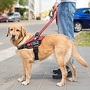 15 Pieces Service Dog Patches Dog Vest Patches Removable Tactical Patches Embroidered Fastener Hook Loop Patch Animal Vest Harnesses Patch Pet Patches for Vest Harnesses Collars Leashes in Training