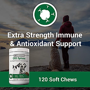 Vet Classics CAS Options Extra Strength Immune Support for Dogs, Cats – Pet Health Supplement, Dog Antioxidant Care – Extra-Strength Dog Supplement Formula – 120 Soft Chews