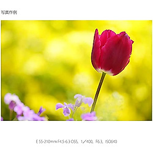 Sony E 55-210mm F4.5-6.3 Lens for Sony E-Mount Cameras (Black)