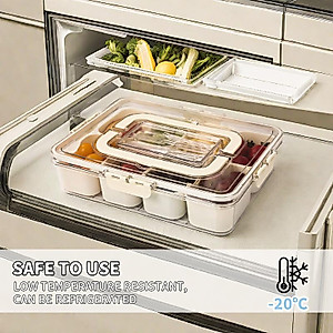 SNEKZ 𝟮 𝗣𝗮𝗰𝗸 Divided Serving Tray with Lid and Handle, 8 Compartments Portable Snackle Box Container for Fruit, Veggies,Clear Snack Containers for Kids and Adult, Perfect for Travel, Picnic