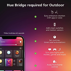 Philips Hue Econic Outdoor White & Color Wall & Ceiling Light Fixture (Hue Hub Required, Compatible with Alexa, Apple Homekit & Google Assistant)