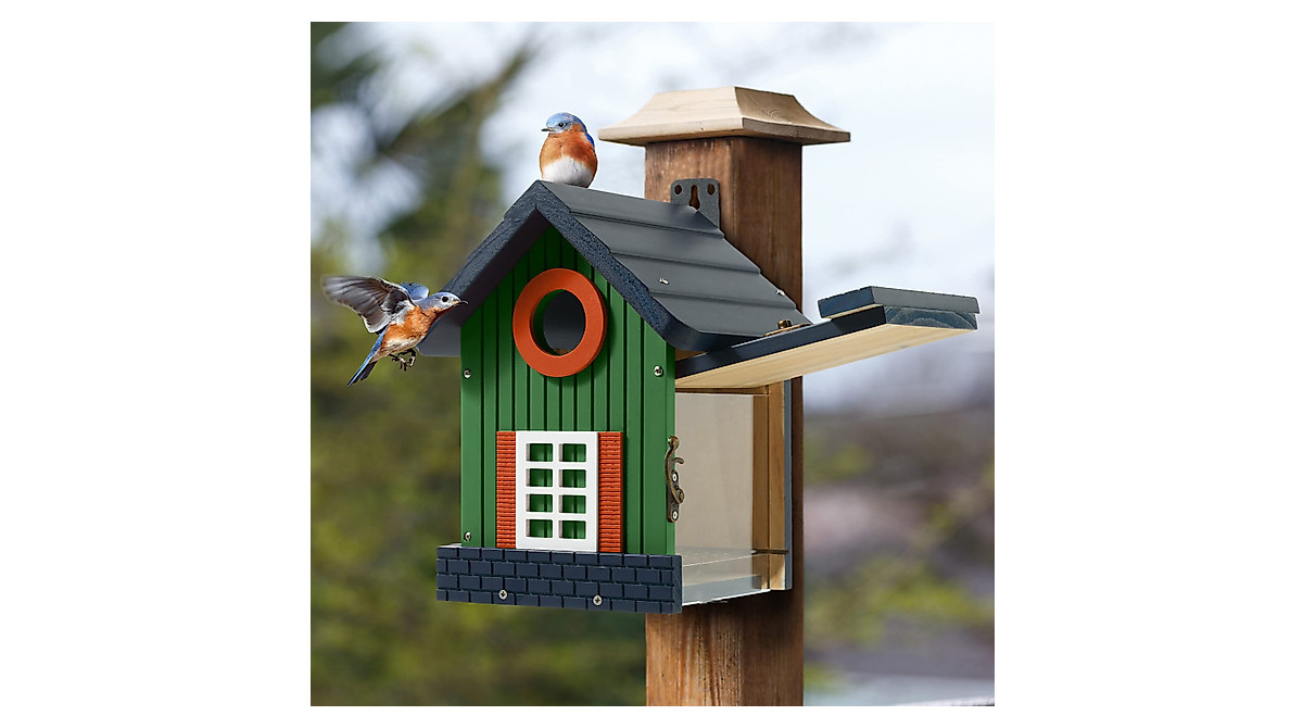 Kingsyard Design Bird House with Predator Guard, Colorful Birdhouse for ...