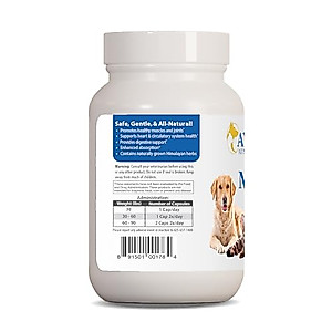 Ayush Pet Mobility, Curcumin Supplement for Healthy Joints, Pure and Powerful Joint, Digestion, and Brain Support, Large or Small Pets, 90 Capsules